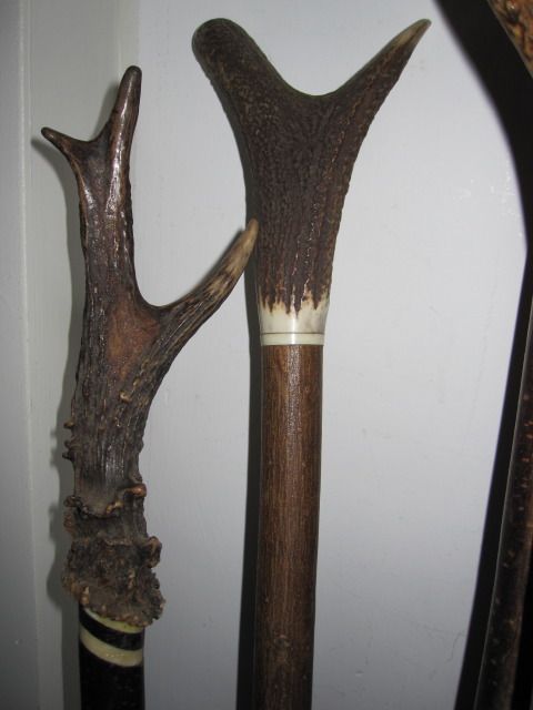 Anyone ever made their own walking stick | The Stalking Directory