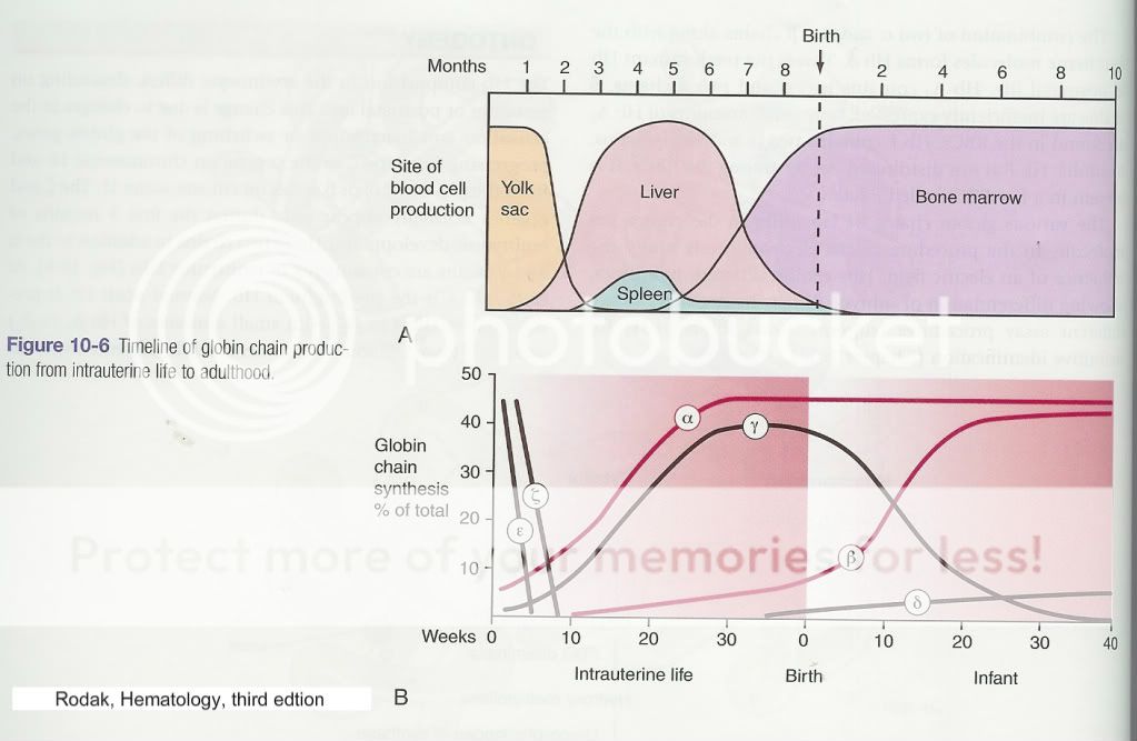 RBC Production Chart Photo by mccabej3 | Photobucket